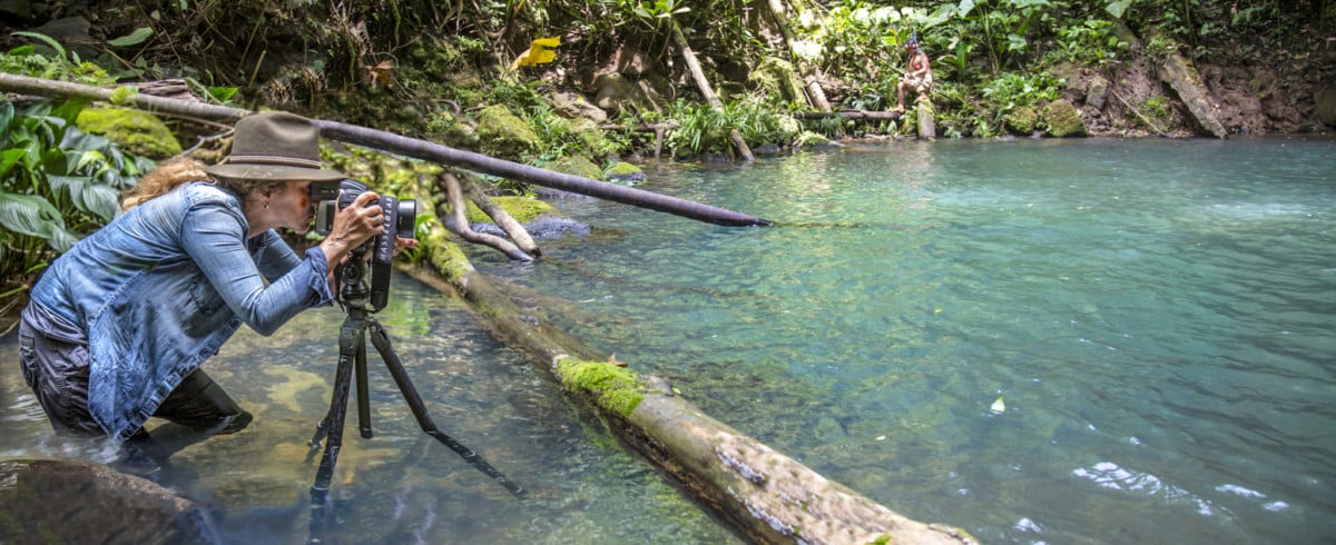 Fine Art America Photography - Photographer Lisa Kristine