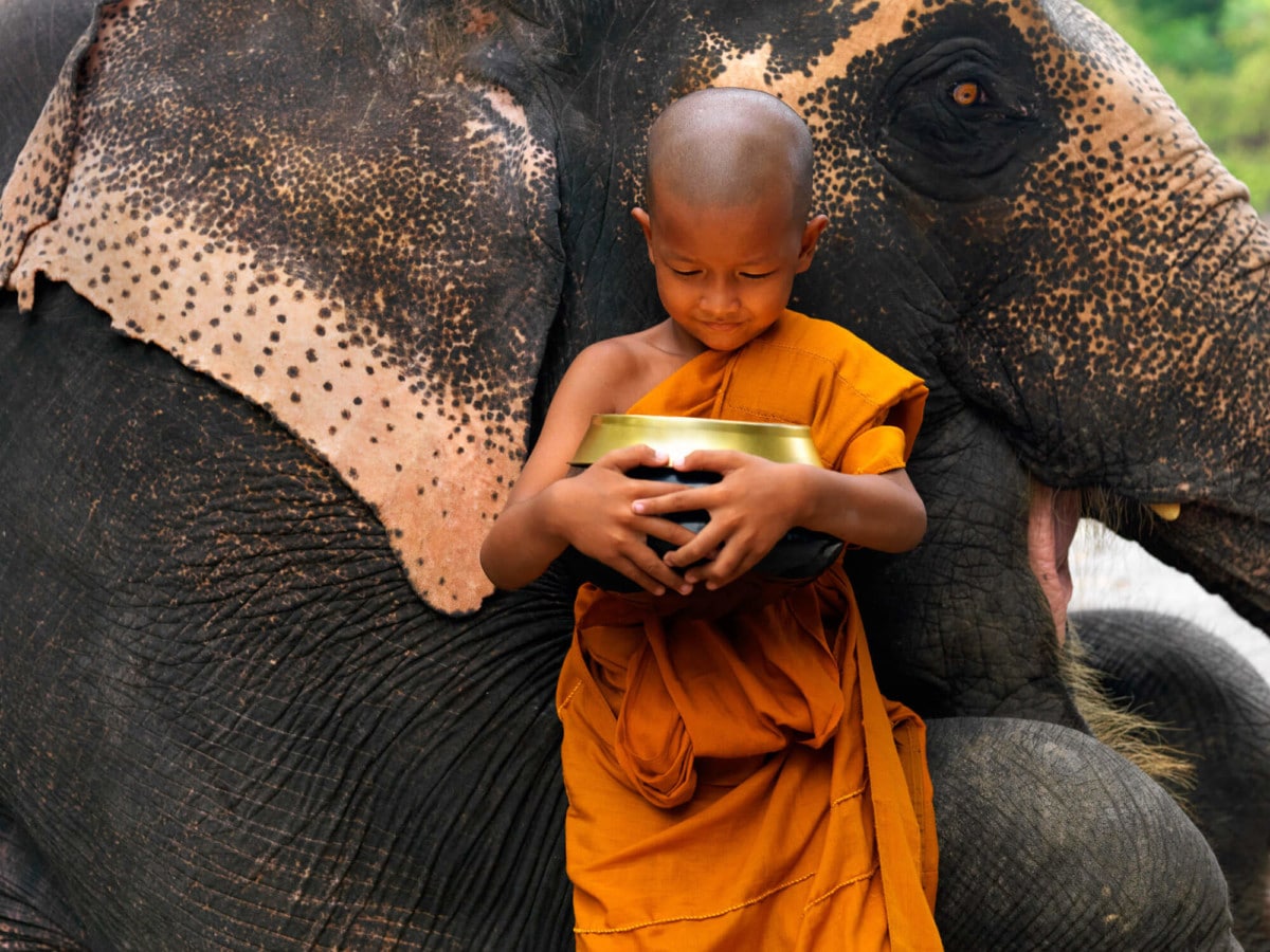 Humanitarian Fine Art Photography - Humanitarian Photographer Lisa Kristine