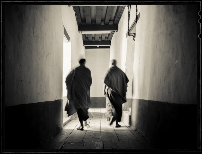 Original Abstract Art for Sale - Lisa Kristine Fine Art